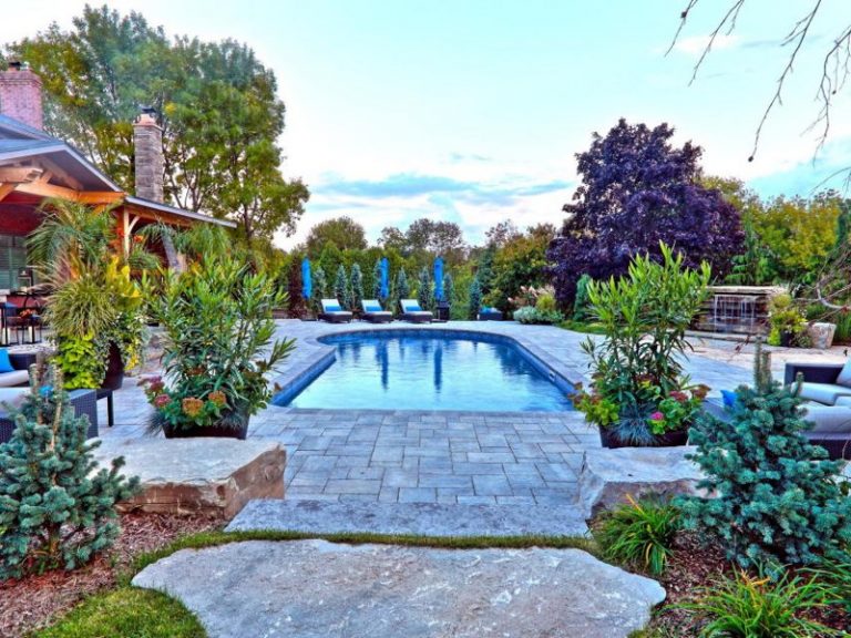 The Best Plants for Swimming Pool Landscaping - Roedell's Landscaping
