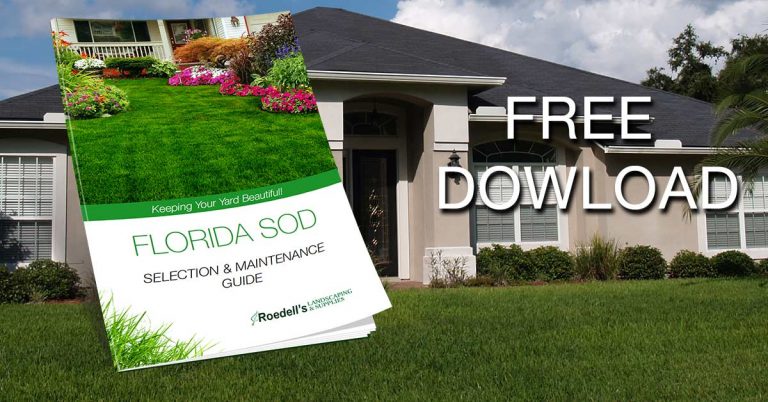 sod guide - Roedell's Landscaping